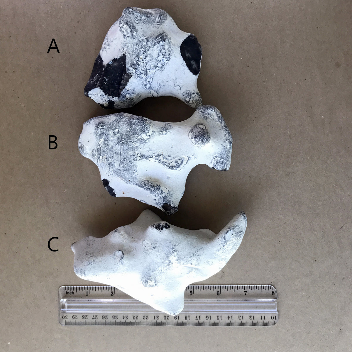 English Flint Nodules with Cortex -- Large – Native Way Online English Flint Nodules with Cortex -- Large – Native Way Online