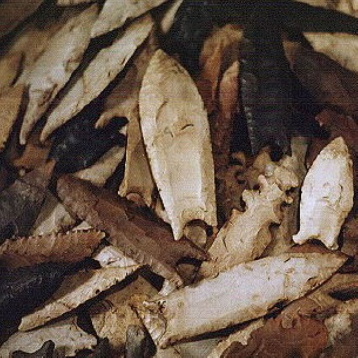 Stone Points - Finished Flintknapping Specimens – Native Way Online