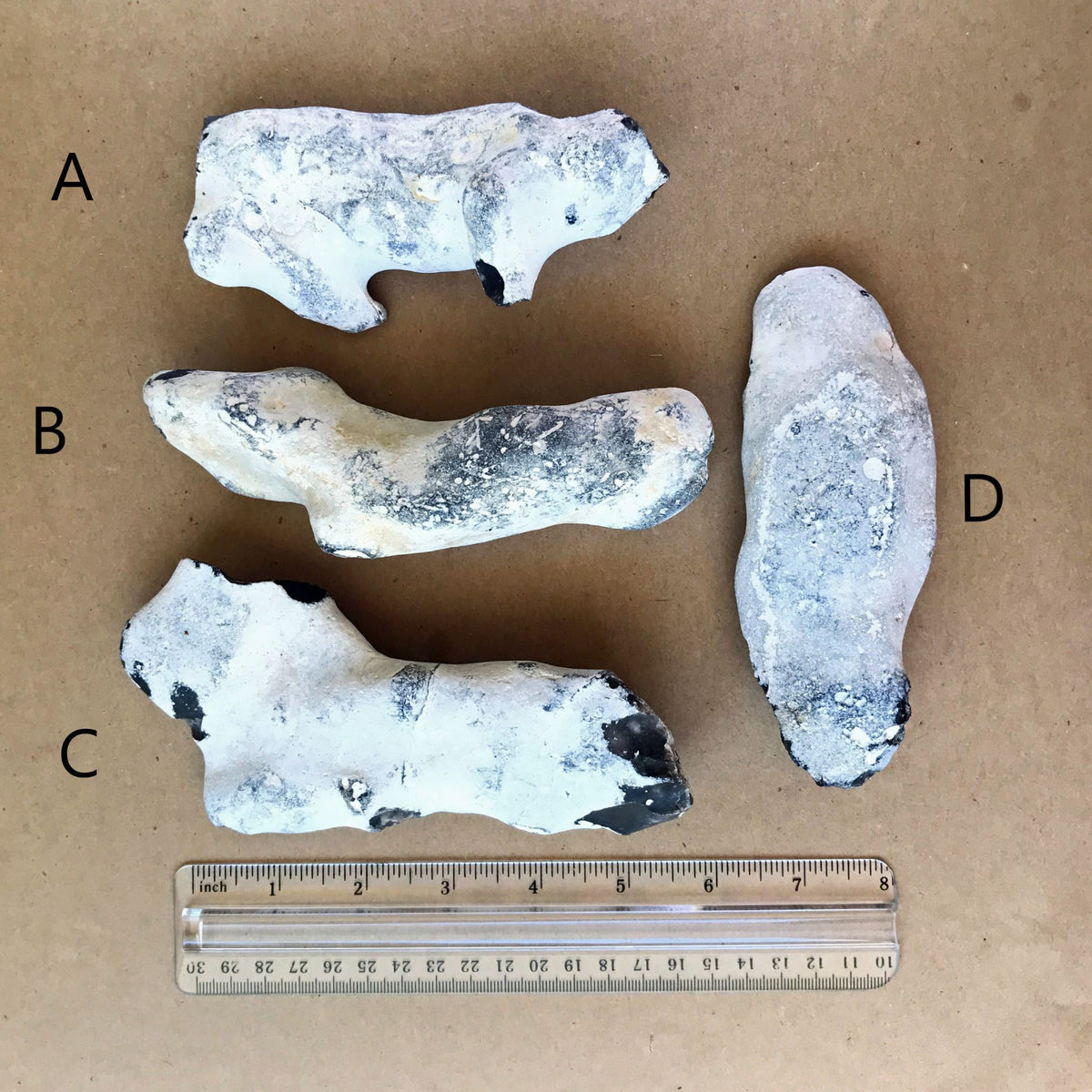 English Flint Nodule Specimens with Cortex -- Medium – Native Way Online