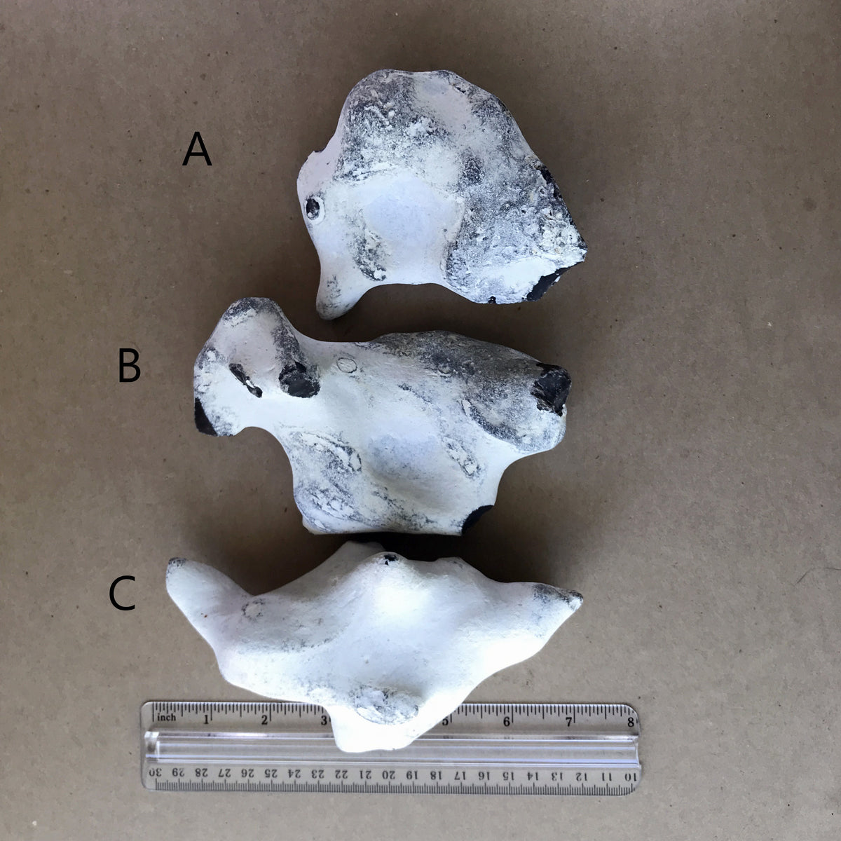 English Flint Nodules with Cortex -- Large – Native Way Online English Flint Nodules with Cortex -- Large – Native Way Online